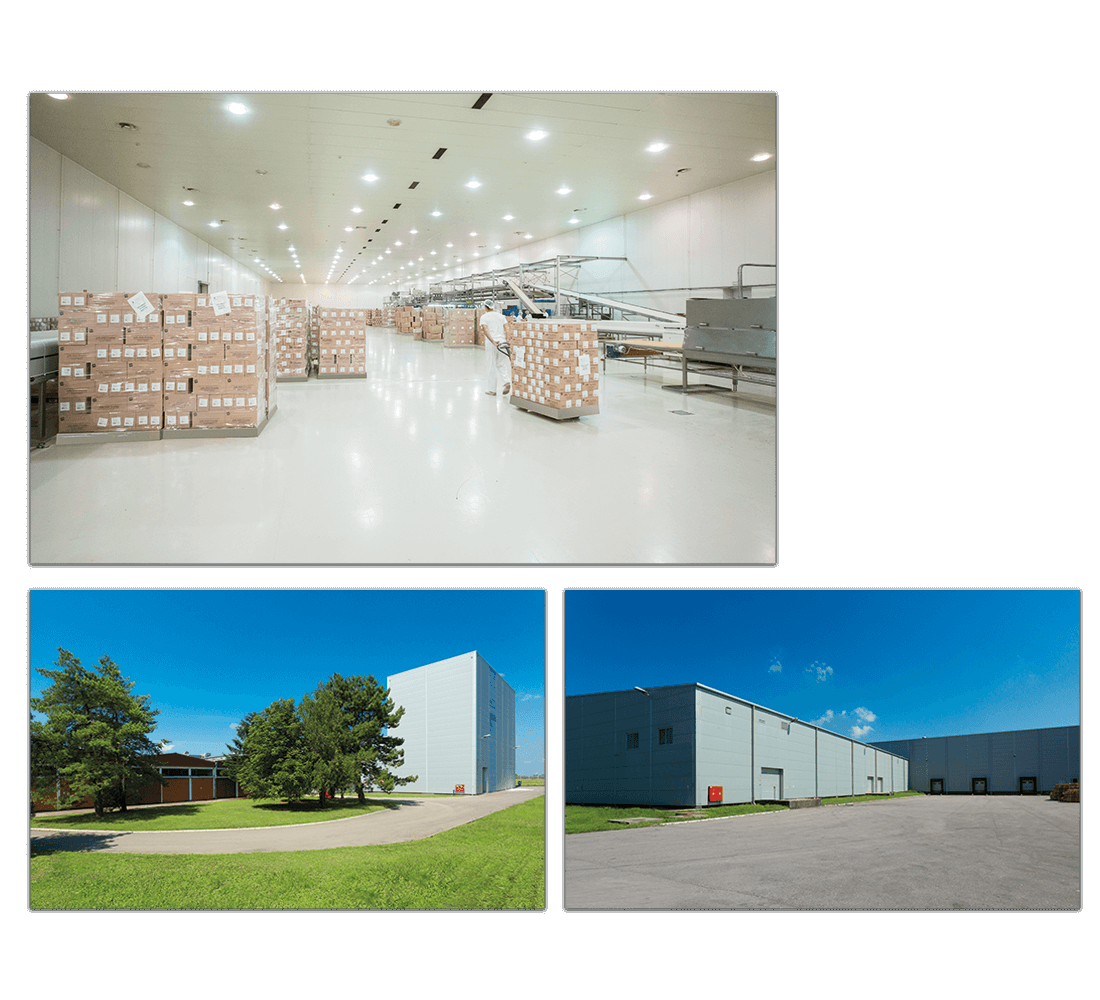 Jaffa time machine - Jaffa fabrika biskvita i keksa